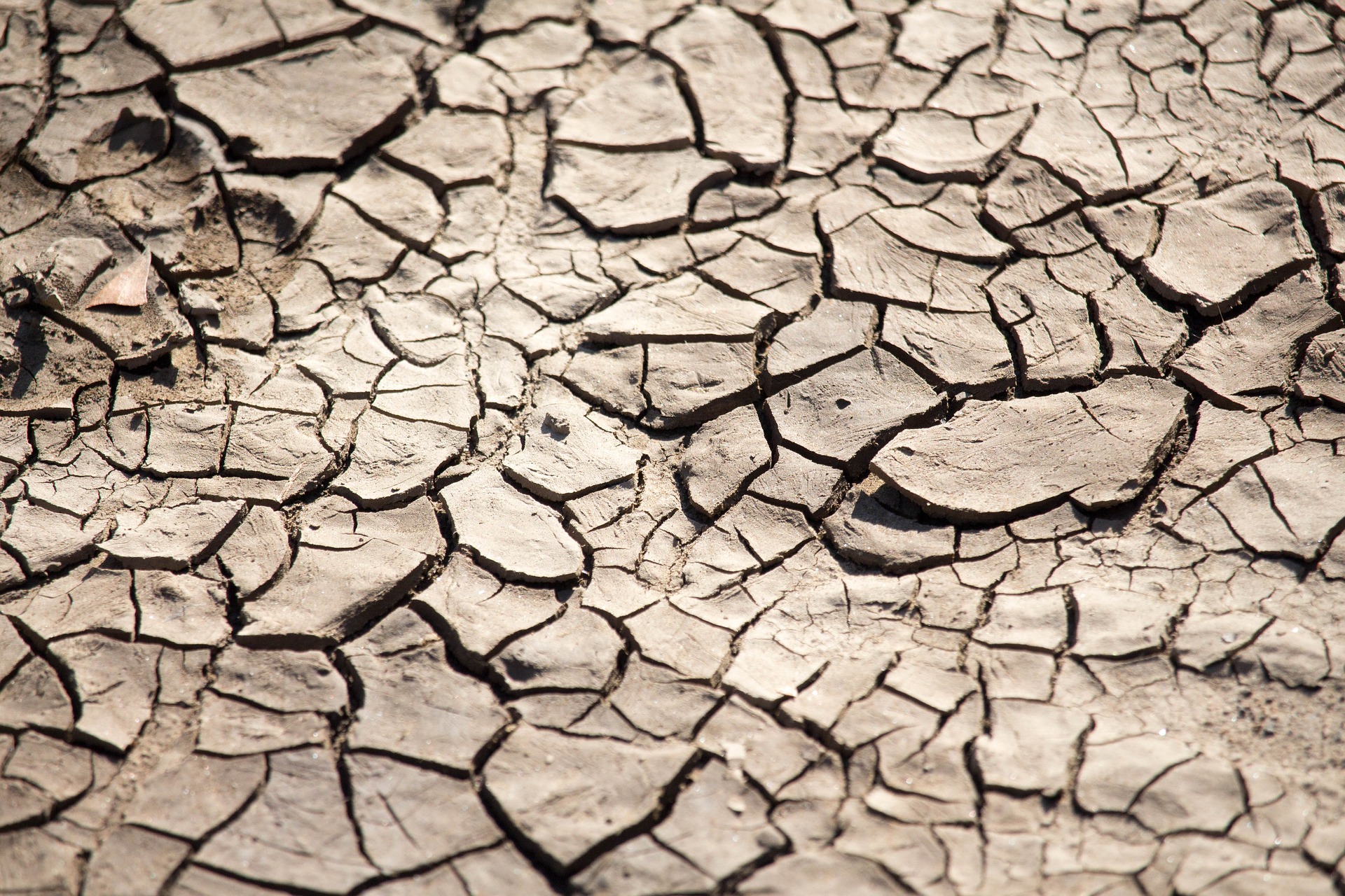 GARD Sécheresse : 15 communes en état de catastrophe naturelle GARD Sécheresse : 15 communes en état de catastrophe naturelle